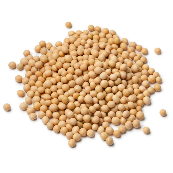 Dried Ginkgo Nut, Bean Curd, and Lily Bulb Soup - Healing Herbal Soups